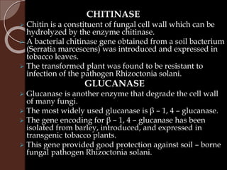 Disease reristance plant, production | PPTX