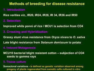 Disease Resistance.ppt is a ppt about disease | PPT