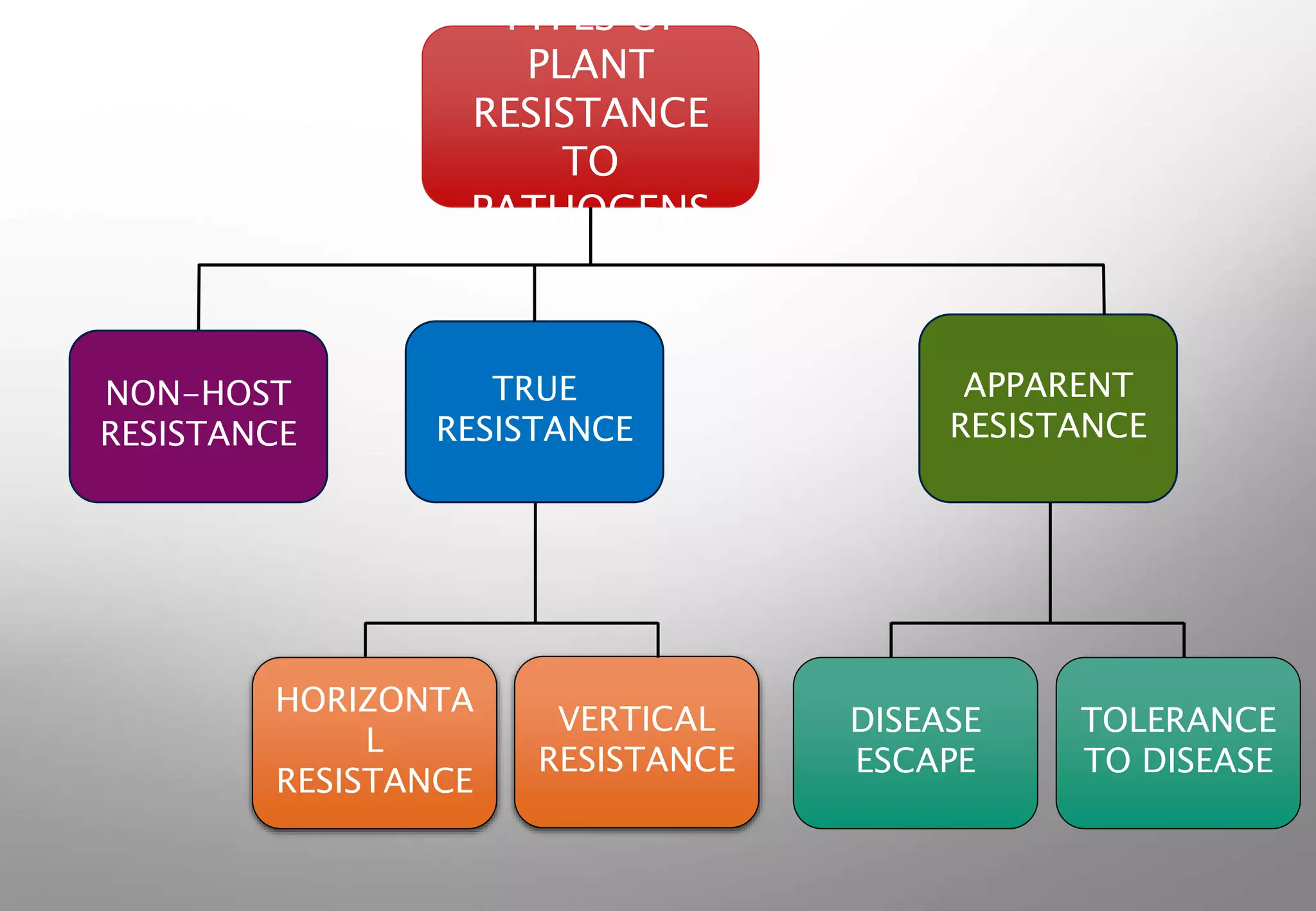 DISEASE RESISTANCE GENES IN PLANTS.pptx