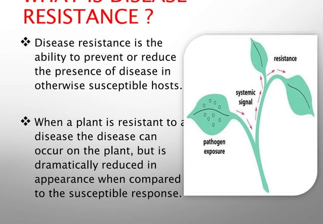 DISEASE RESISTANCE GENES IN PLANTS.pptx