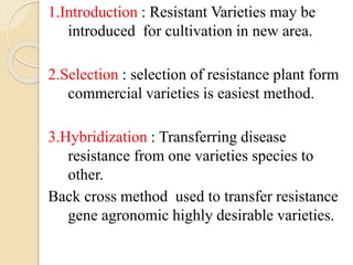 Disease resistance rice | PPTX