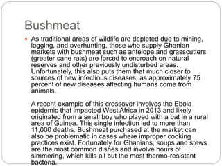 Disease Risks Associated With Bushmeat in West Africa | PPT