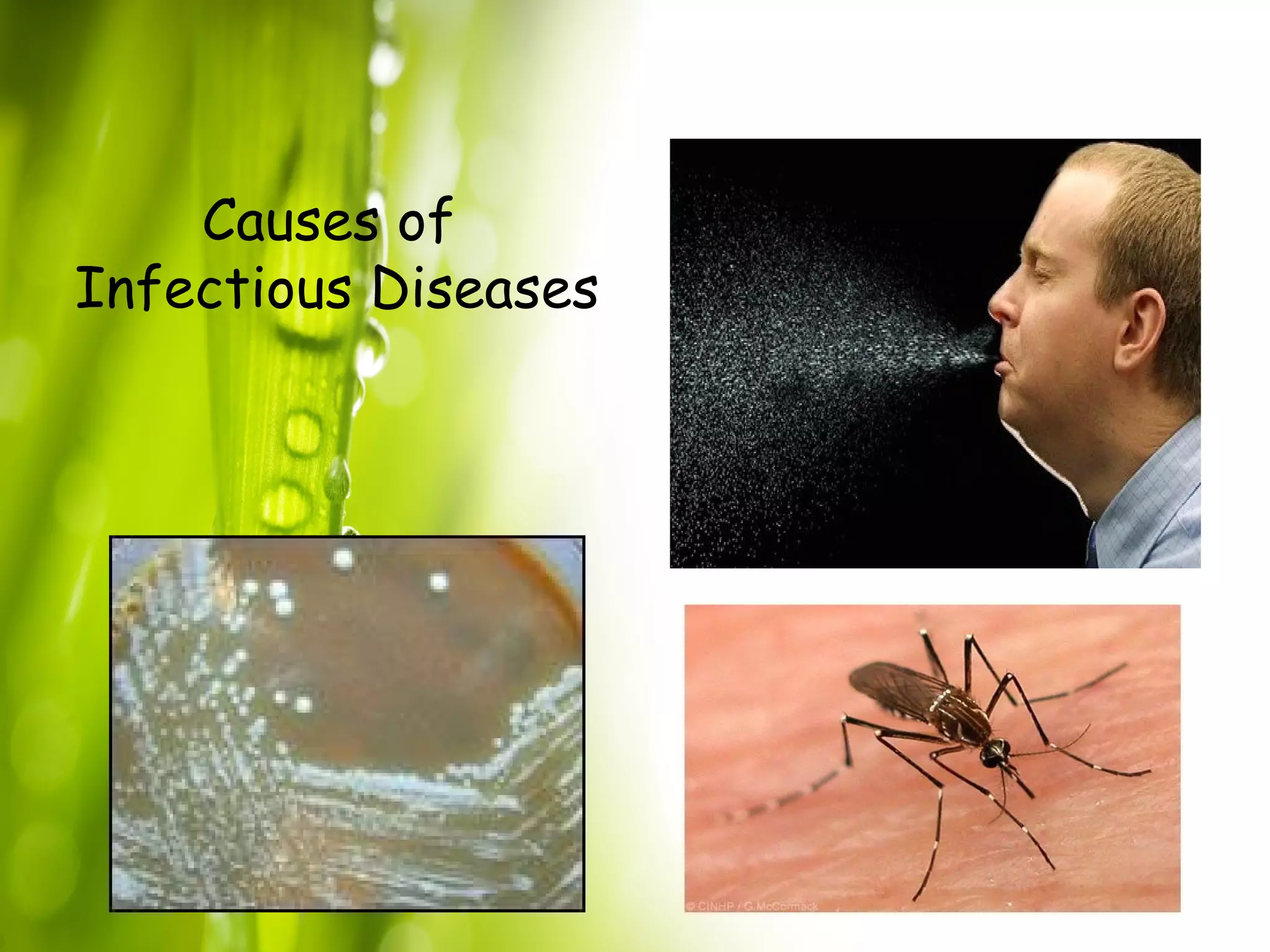 Diseases | PPT