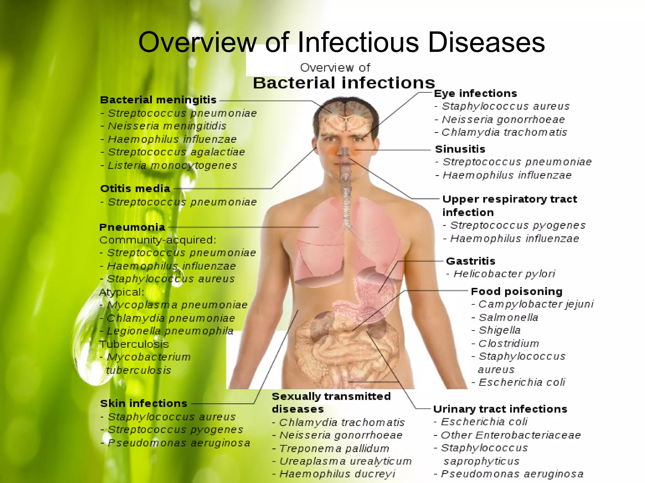 Diseases | PPT