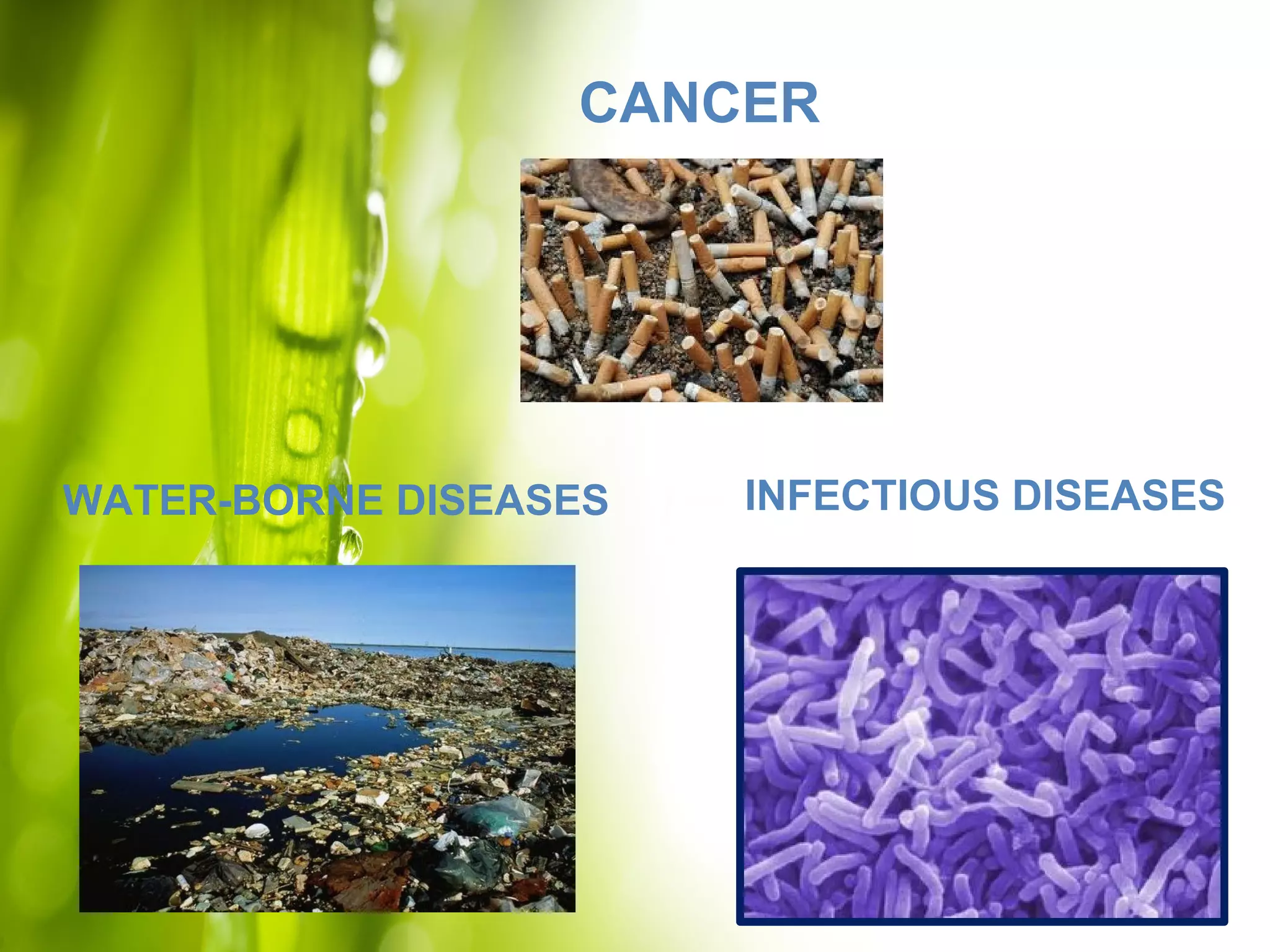 Diseases | PPT