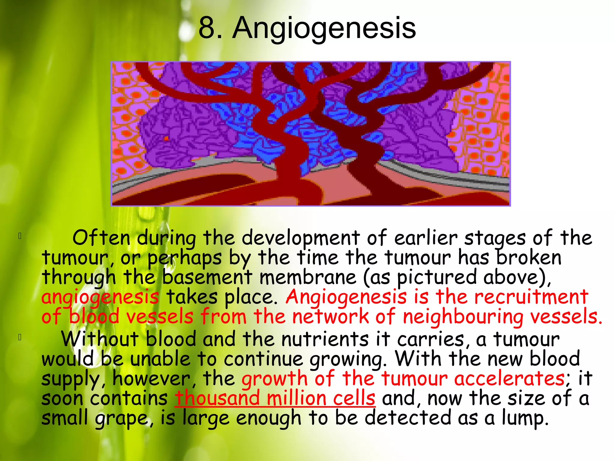 Diseases | PPT