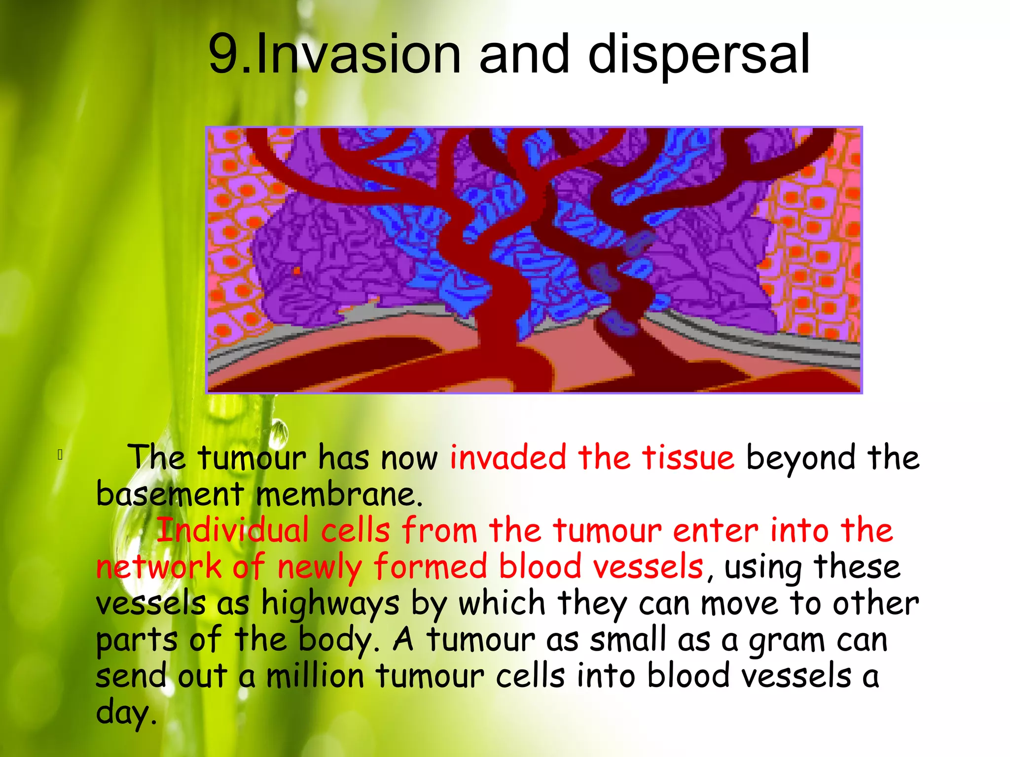 Diseases | PPT