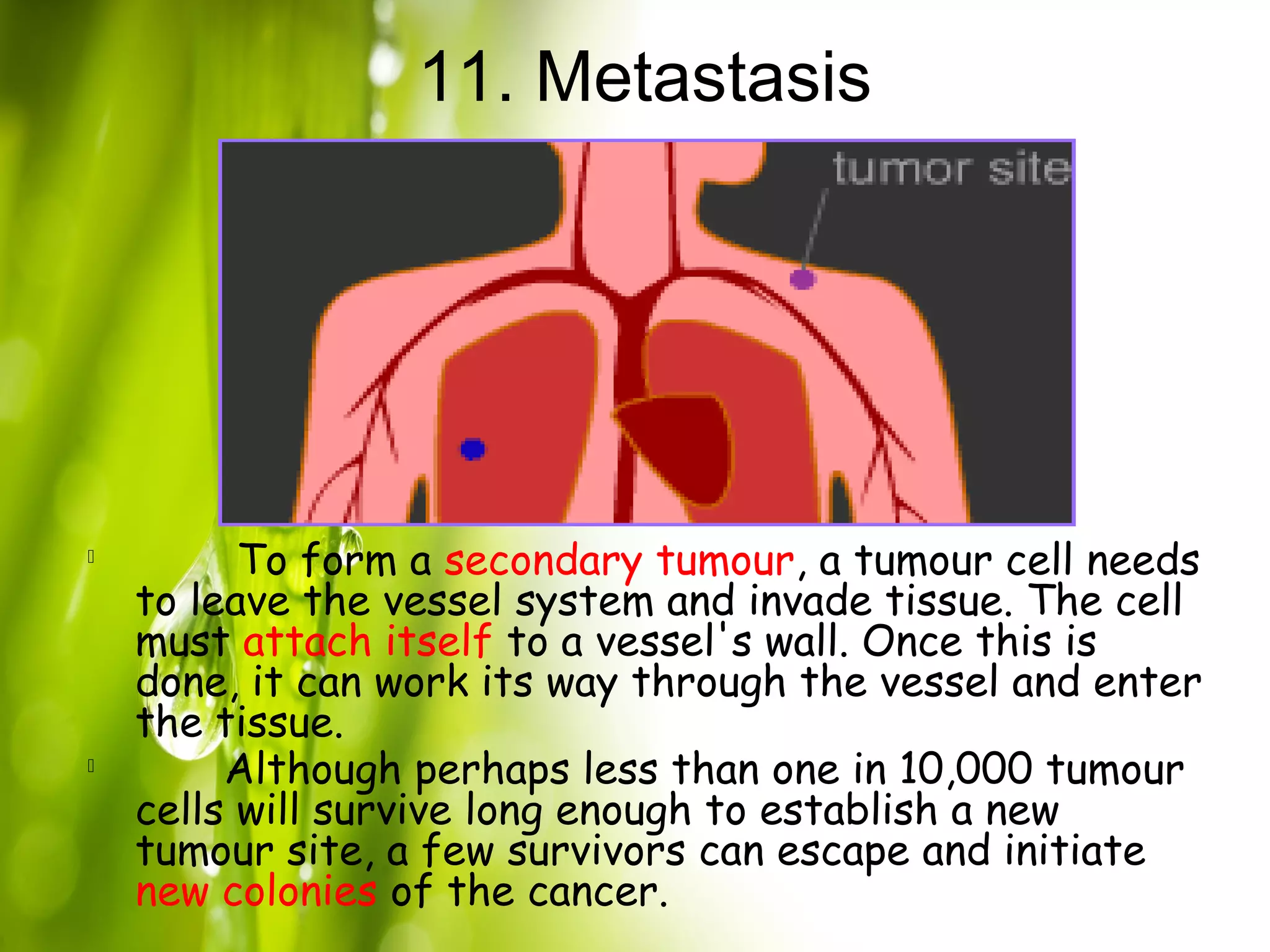 Diseases | PPT
