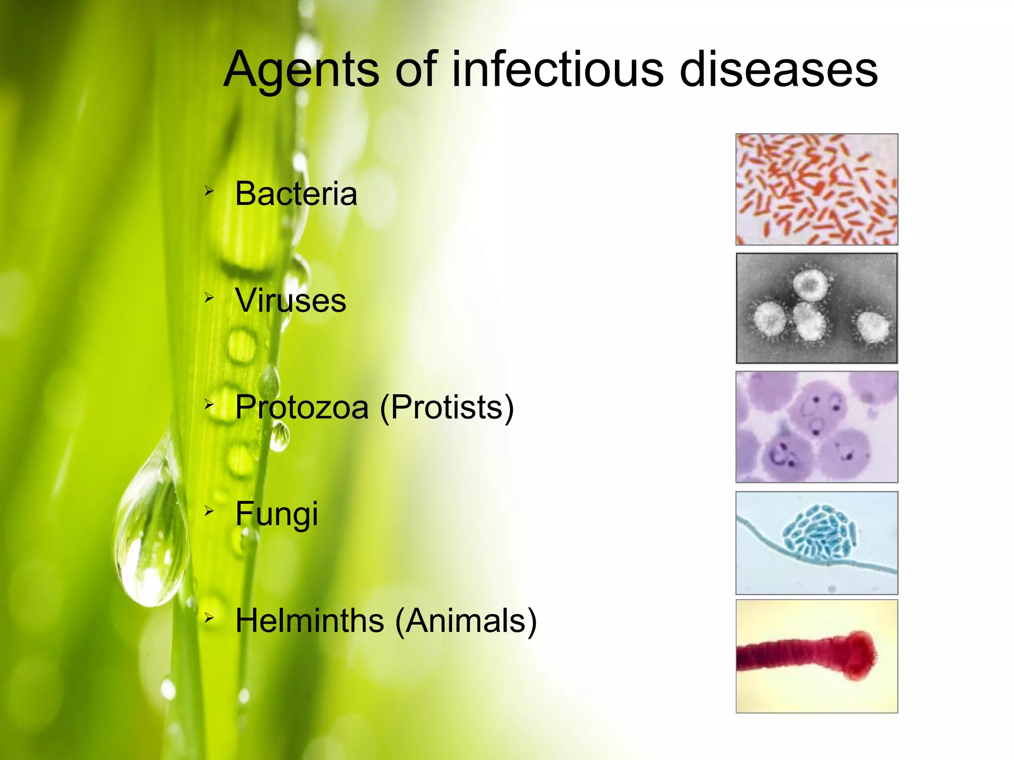 Diseases | PPT