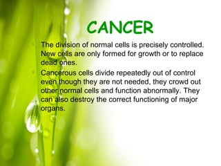 Diseases | PPT