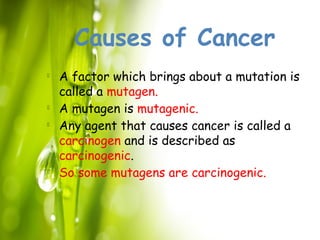 Diseases | PPT