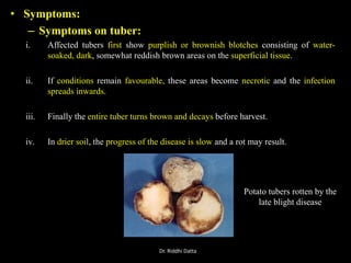 Plant Diseases (Part I) | PPTX