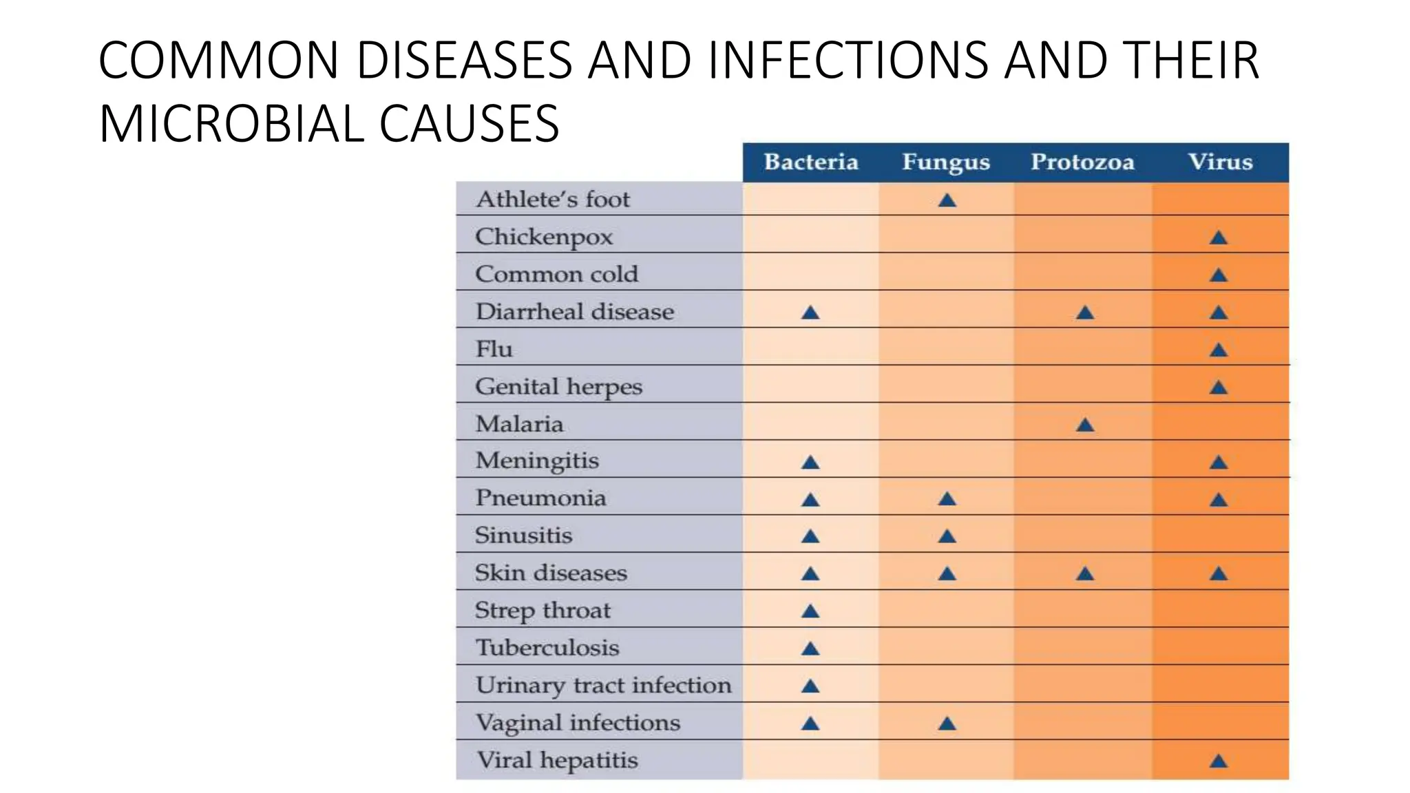 Diseases.pptx