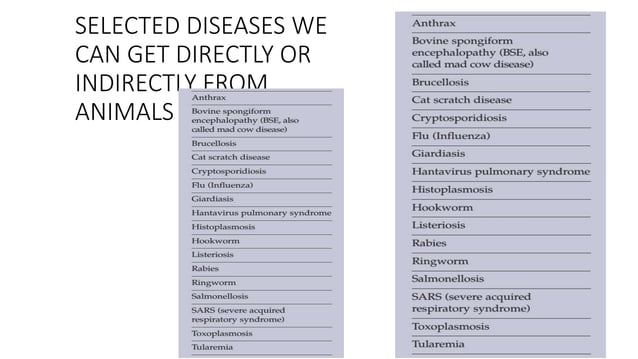 Diseases.pptx