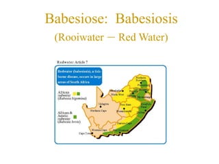 African Livestock Diseases in practice.ppt