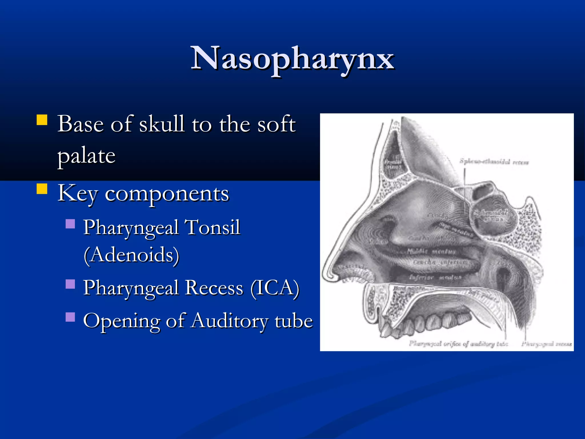 Diseases of-pharynx-and-larynx | PPT