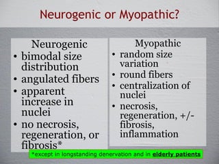 Pathology of Skeletal Muscle | PPT