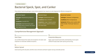 Diseases-of-Tomato-Symptoms-Causes-and-Management.pptx