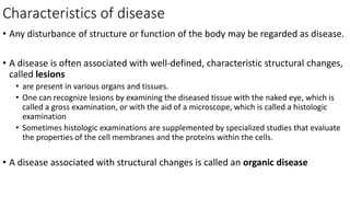 Diseases 1.ppt