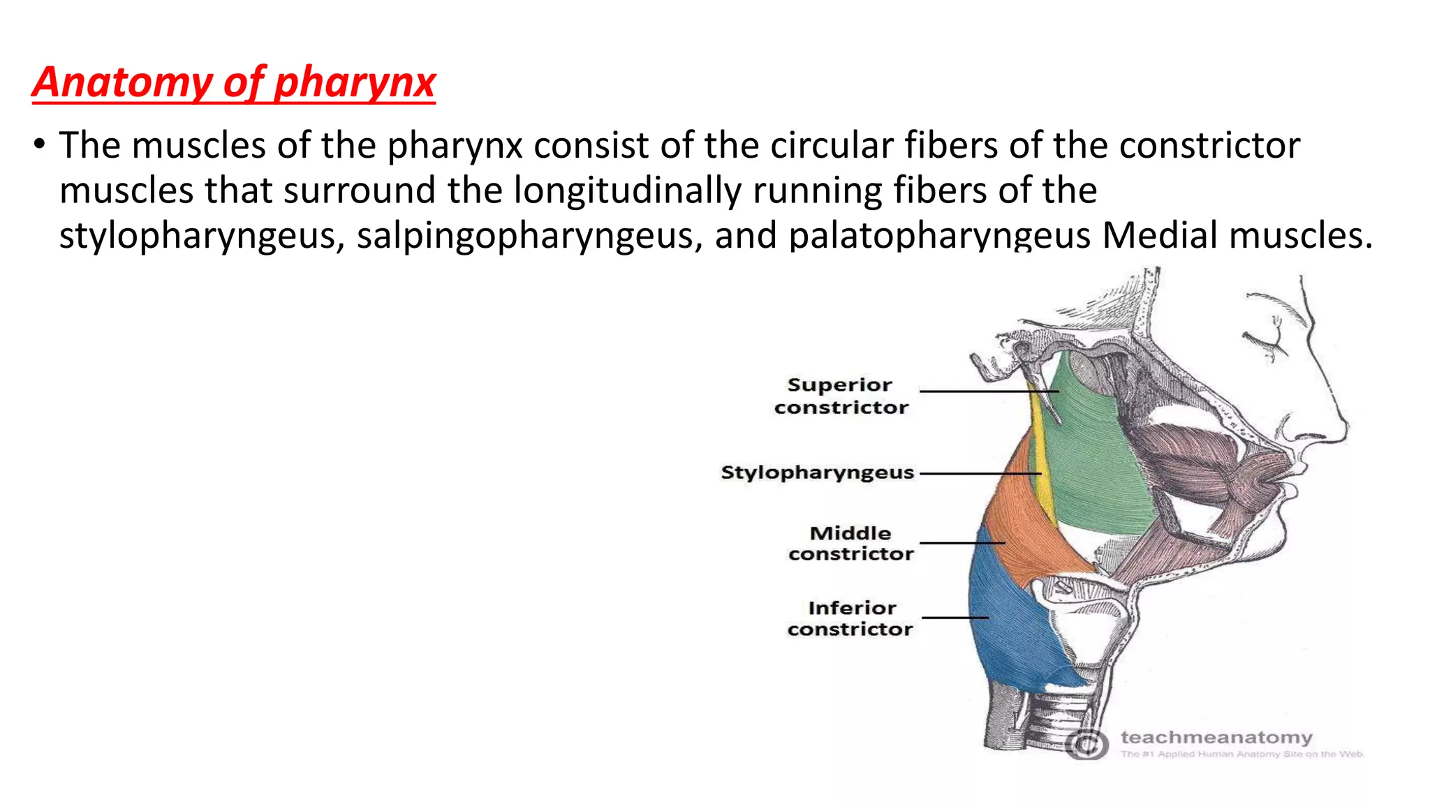 Diseases%20of%20the%20Pharynx-1.pptx