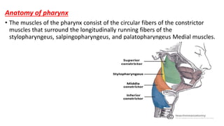 Diseases%20of%20the%20Pharynx-1.pptx