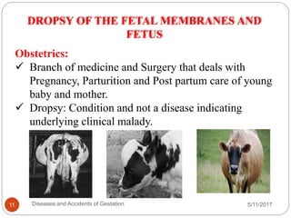 Diseases and accidents of gestation | PPT