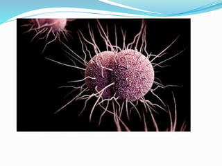 Diseases and disorders of human reproductive | PPTX