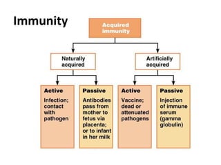 Diseases and immunity. | PDF