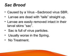 Diseases and pest of honey bees | PPT