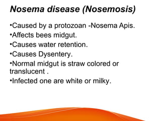 Diseases and pest of honey bees | PPT