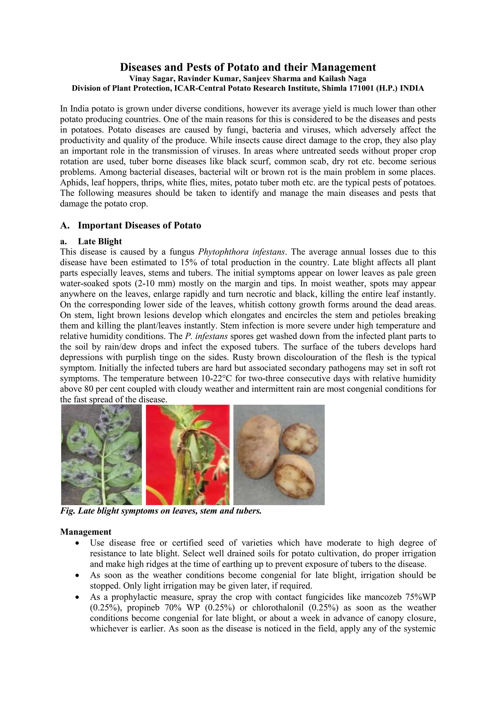 Diseases and pests of potato Vinay Sagar.docx