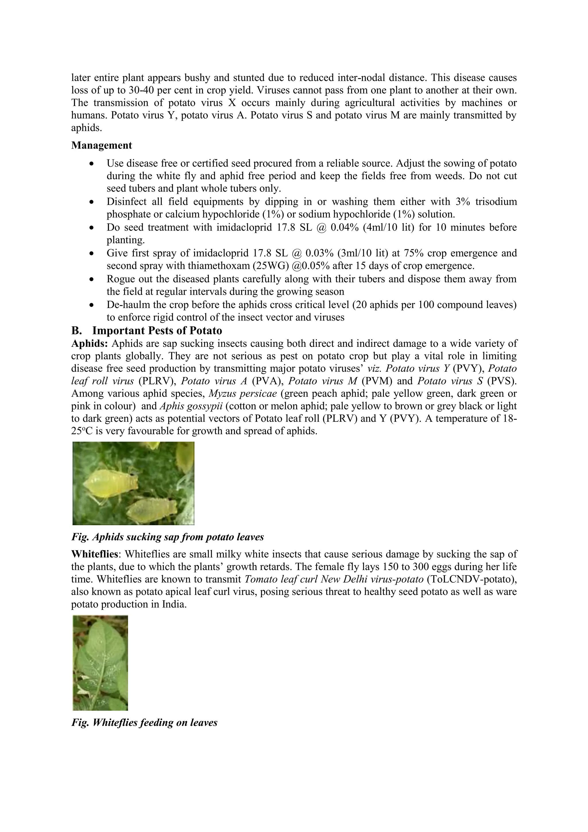 Diseases and pests of potato Vinay Sagar.docx
