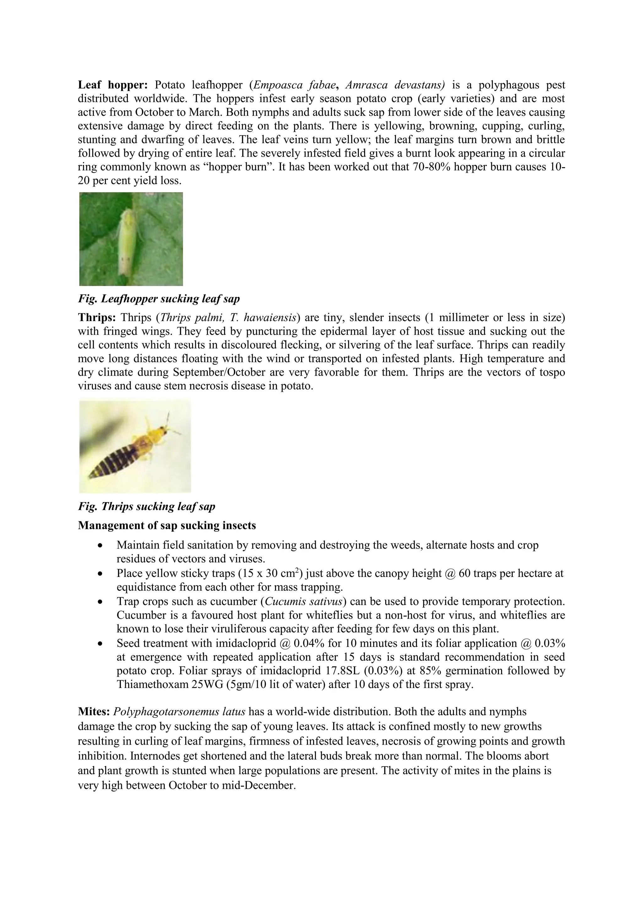 Diseases and pests of potato Vinay Sagar.docx