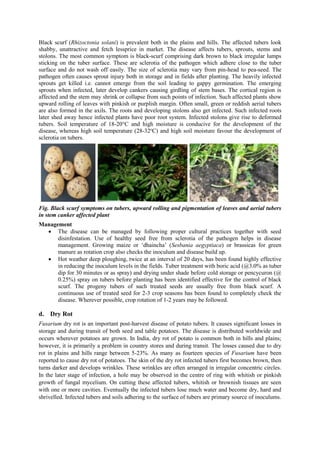 Diseases and pests of potato Vinay Sagar.docx