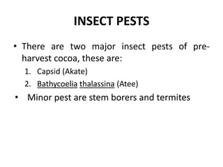 Diseases And Pests Of Pre Harvest Cocoa | PPTX