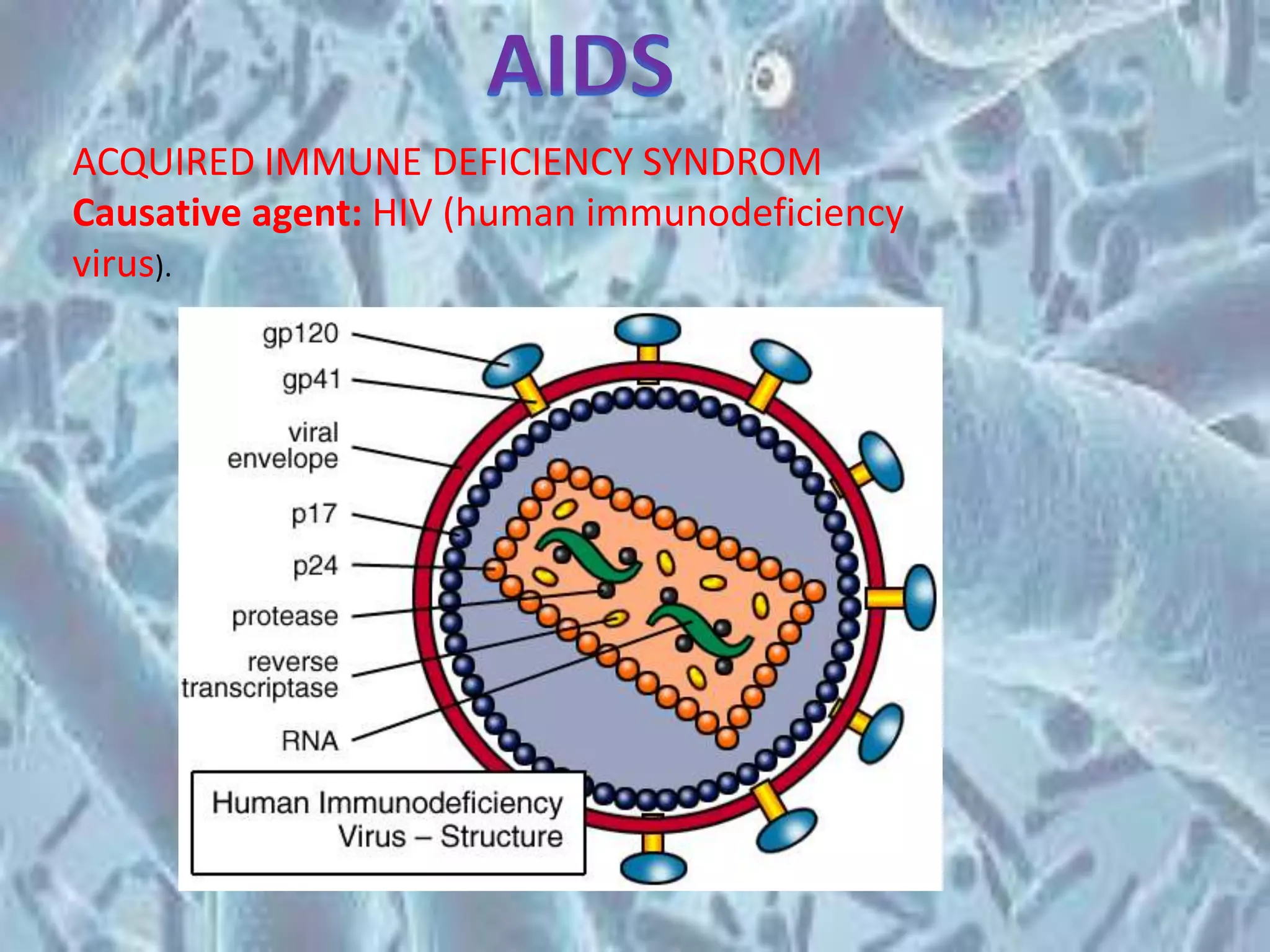 Diseases caused by bacteria and viruses to human | PPTX