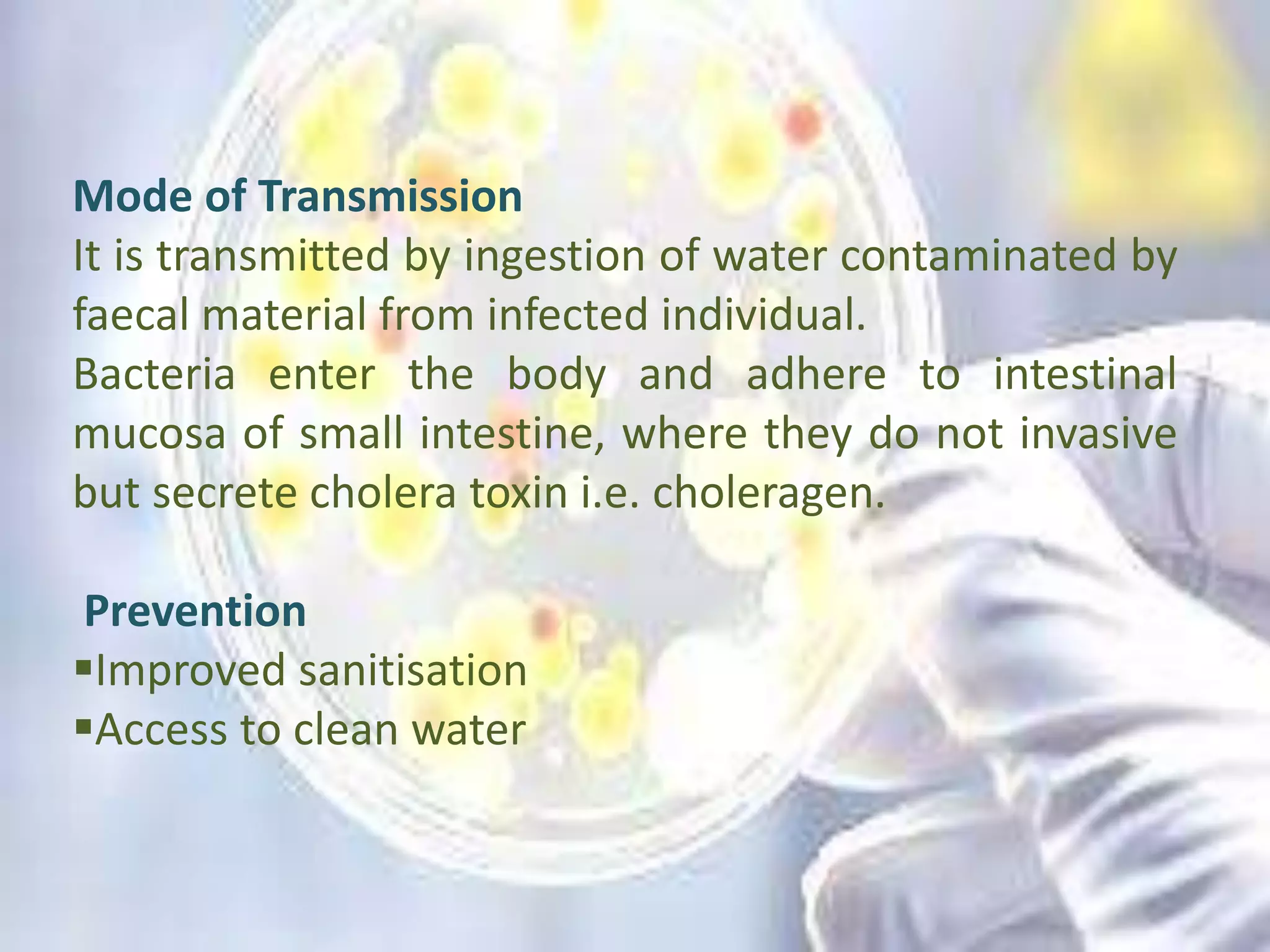 Diseases caused by bacteria and viruses to human | PPTX