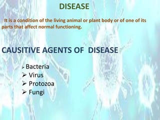 Diseases caused by bacteria and viruses to human | PPTX