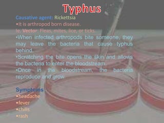 Diseases caused by bacteria and viruses to human | PPTX