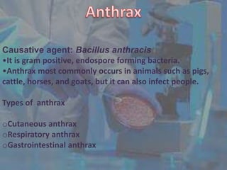 Diseases caused by bacteria and viruses to human | PPTX