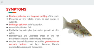 Disease in fish(caused by Crustaceans).pptx