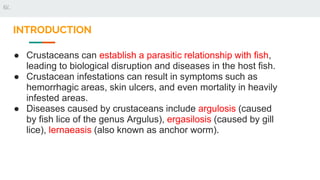Disease in fish(caused by Crustaceans).pptx