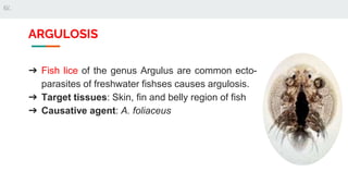 Disease in fish(caused by Crustaceans).pptx | Fish and Aquariums | Pets