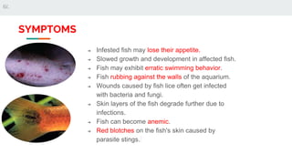 Disease in fish(caused by Crustaceans).pptx