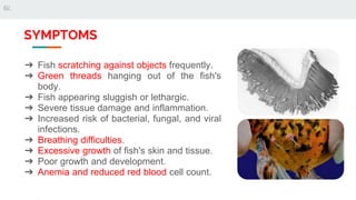 Disease in fish(caused by Crustaceans).pptx