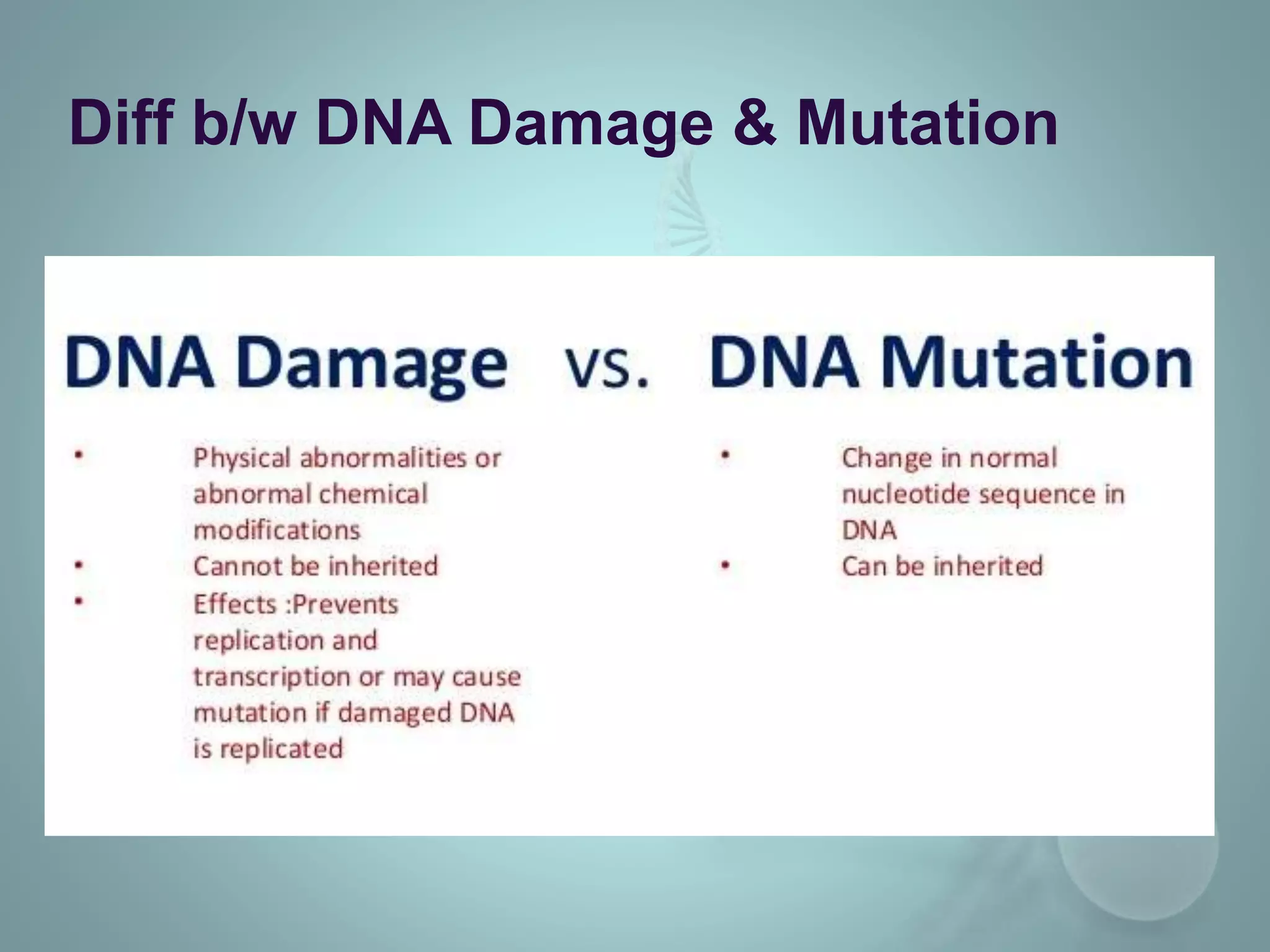 Diseases caused by dna damage | PPTX