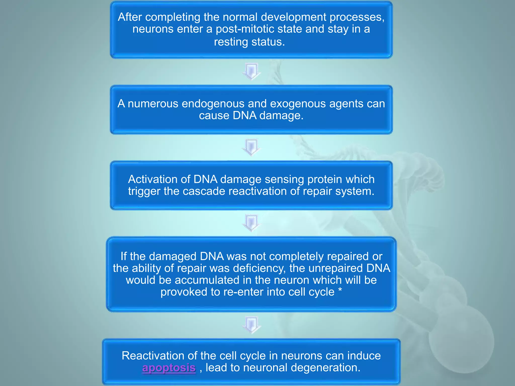Diseases caused by dna damage | PPTX