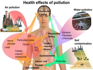 Diseases caused by pollution | PPTX