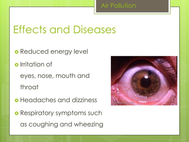 Diseases caused by pollution | PPT