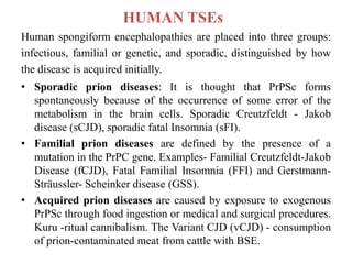 Diseases caused by prions | PPTX